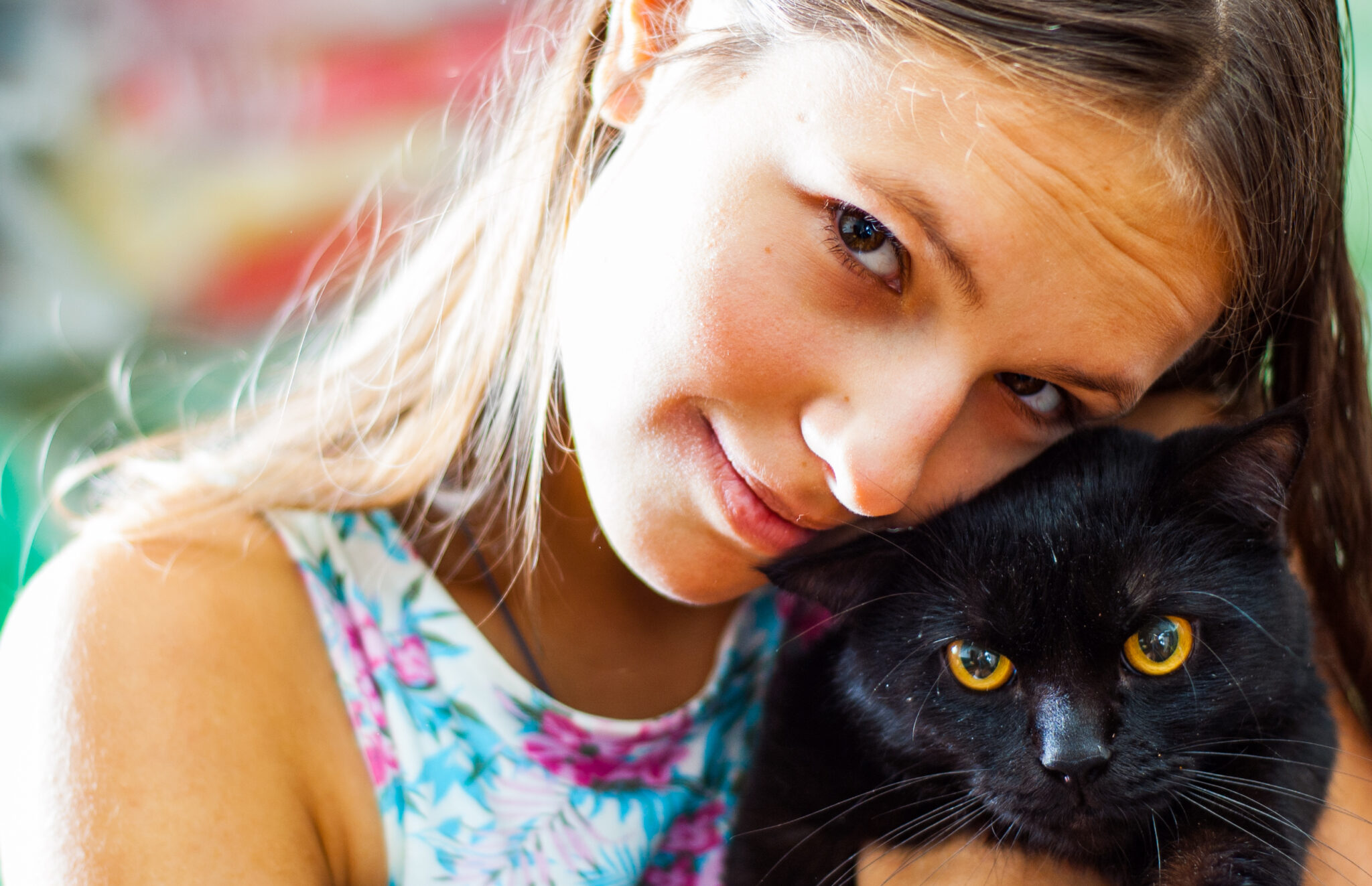Diferencias del ojo humano y el ojo animal